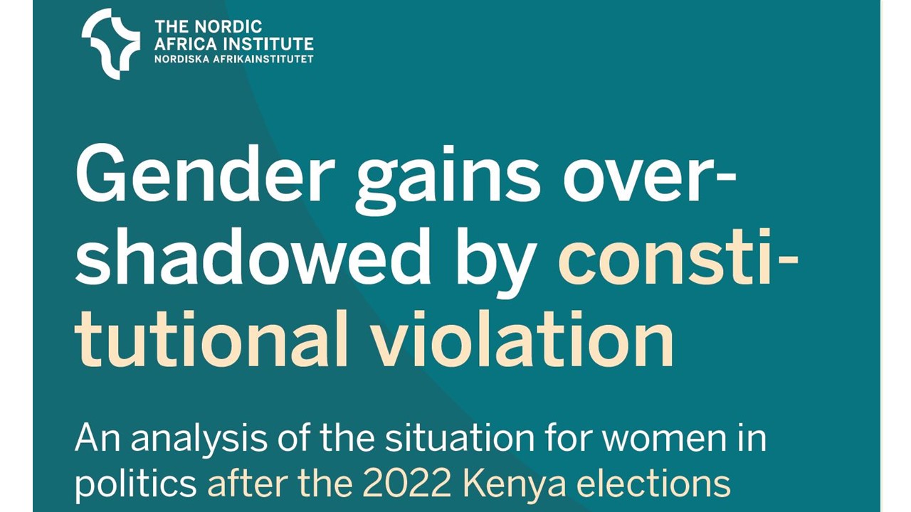 Gender gains overshadowed by constitutional violation: An analysis of ...