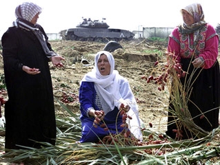 A LOOK AT THE RIGHTS OF ARAB WOMEN | International Knowledge Network of ...