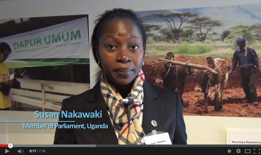 Se postuló y ganó (She ran she won: identifying and overcoming ...